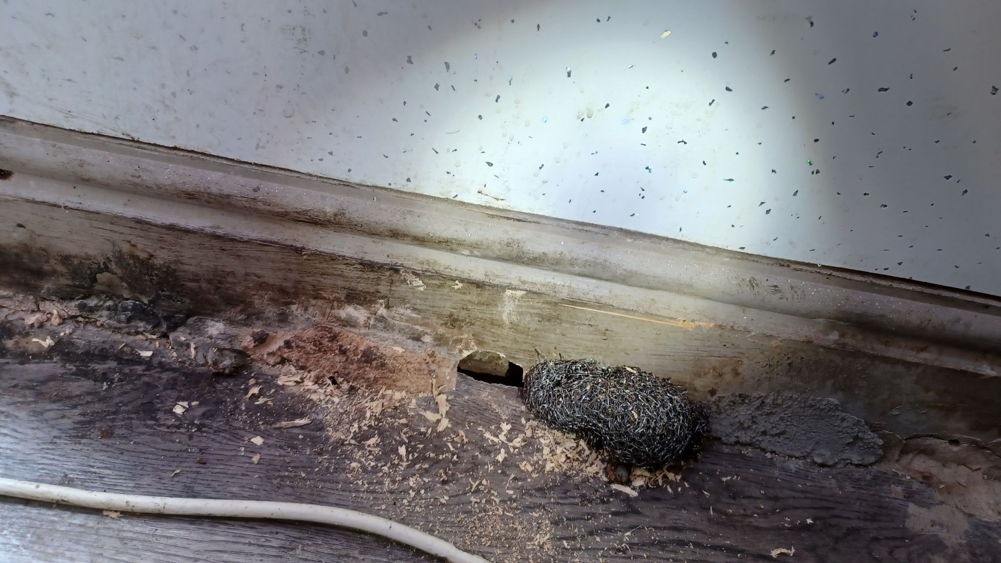 Cockroaches and rat droppings found at Birmingham takeaway - BBC News