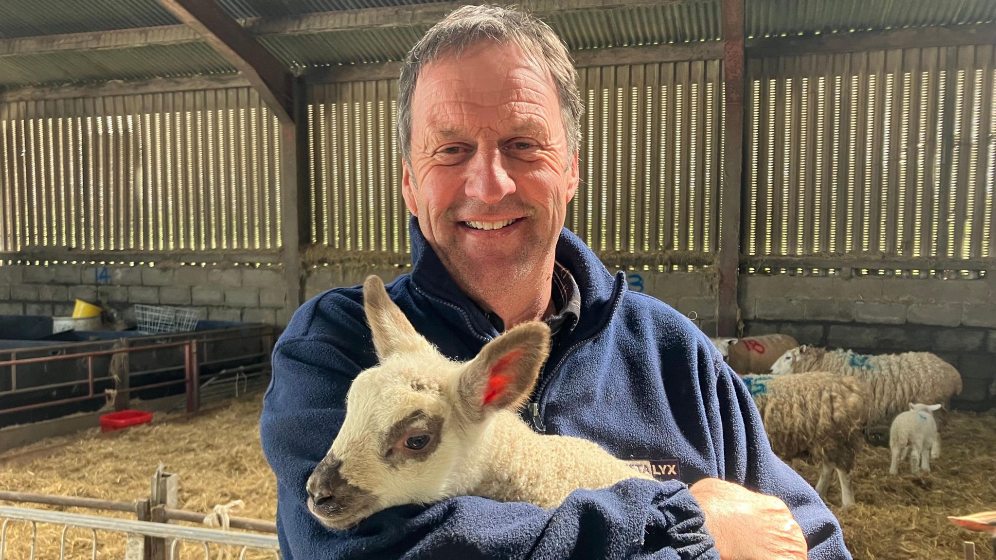 Tywydd eithafol yn her gynyddol i fyd amaeth Cymru - BBC Cymru Fyw