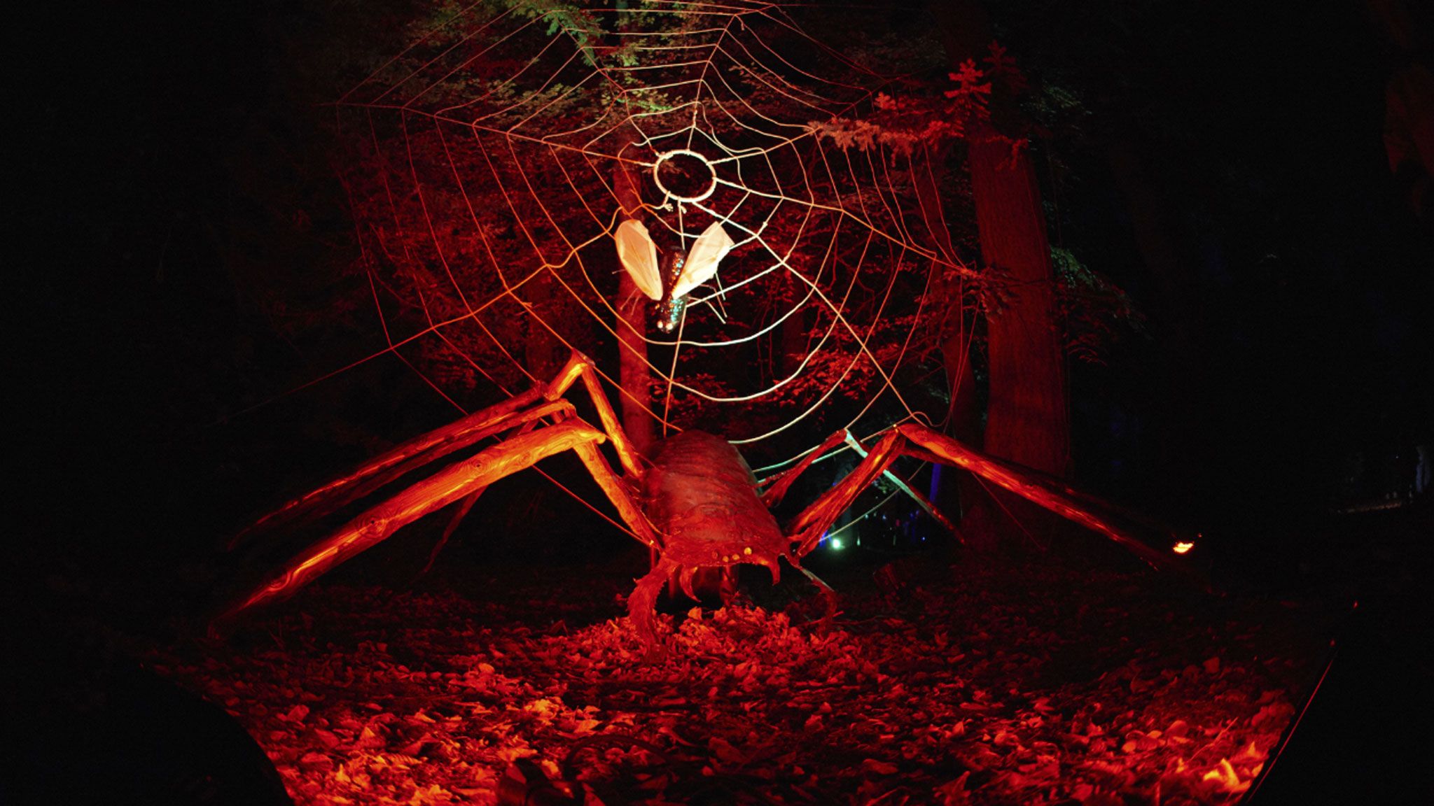 Boos up: Ghosts and ghouls show on Ness Islands - BBC News