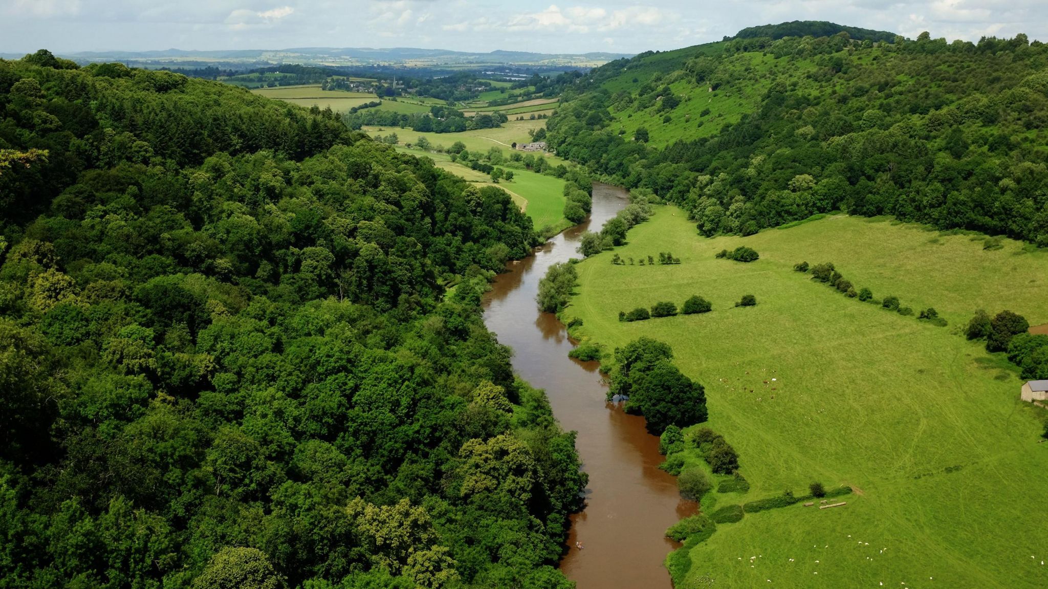 Dynodi rhan o Afon Gwy yn ddŵr ymdrochi wedi ymgyrch - BBC Cymru Fyw