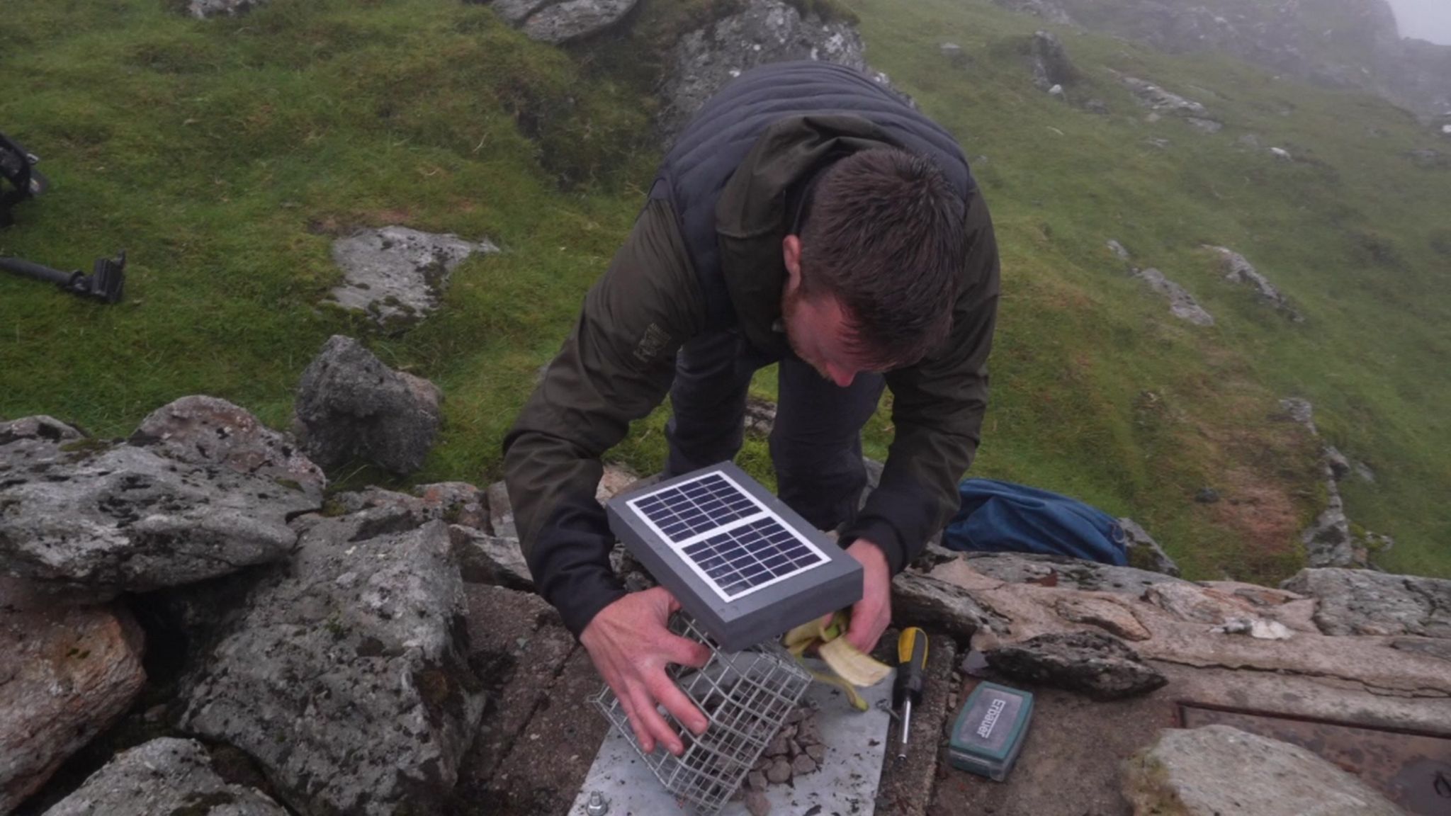 Pam bod camera yn recordio banana yn pydru ar Yr Wyddfa? - BBC Cymru Fyw