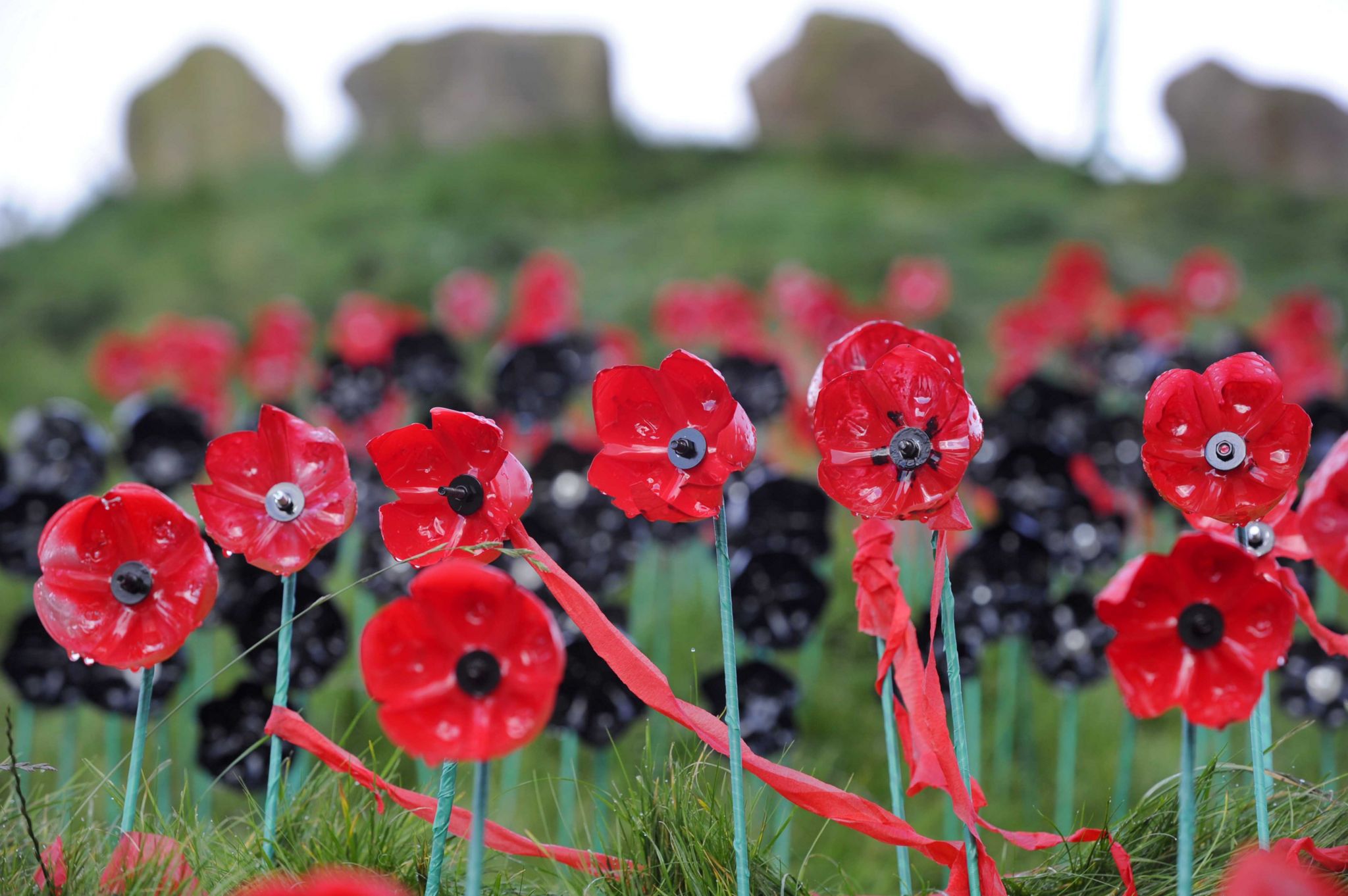 In pictures: Crawick Multiverse poppy tribute - BBC News