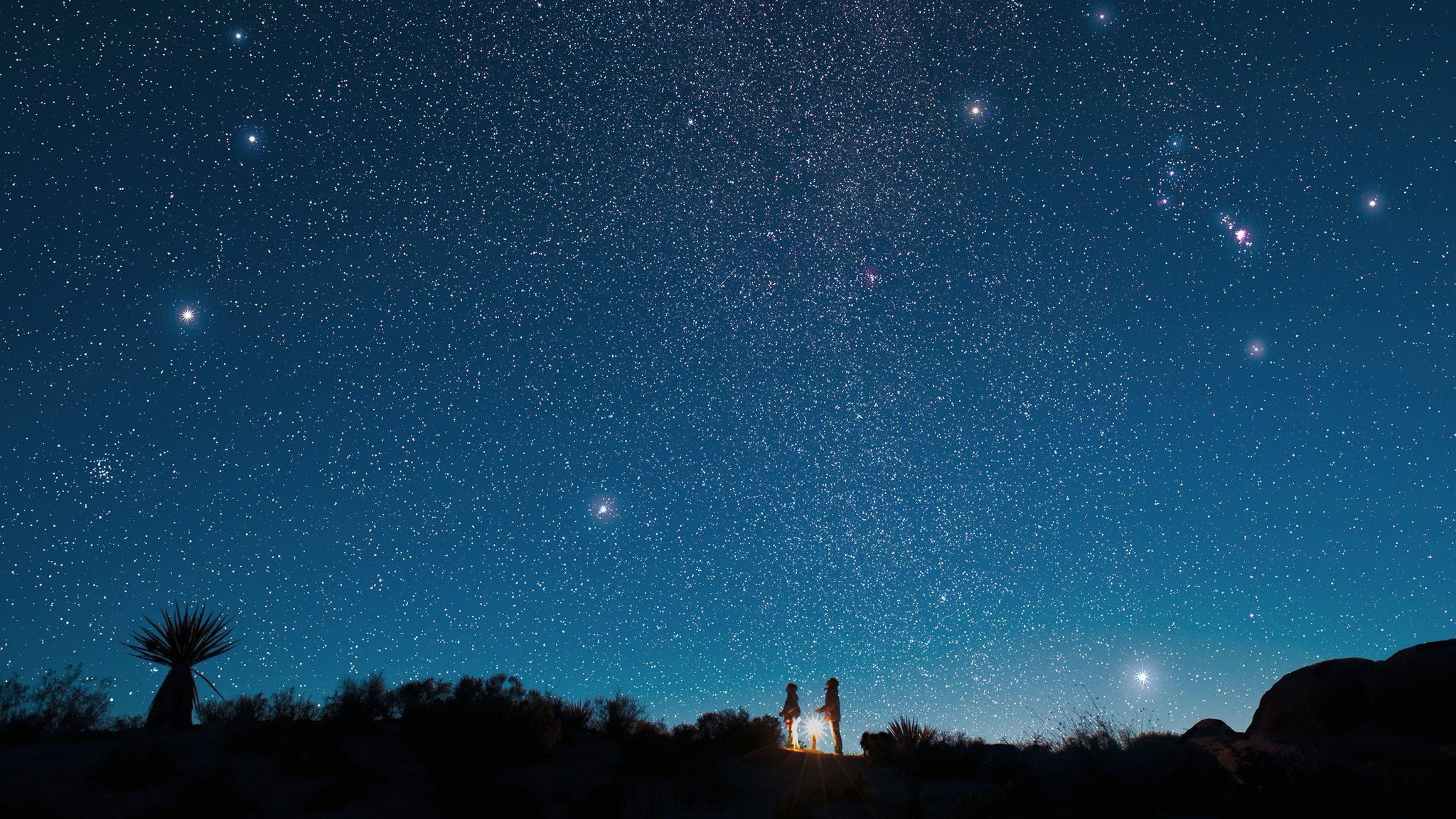 Why Antarctica is the best place to see the stars - BBC Newsround