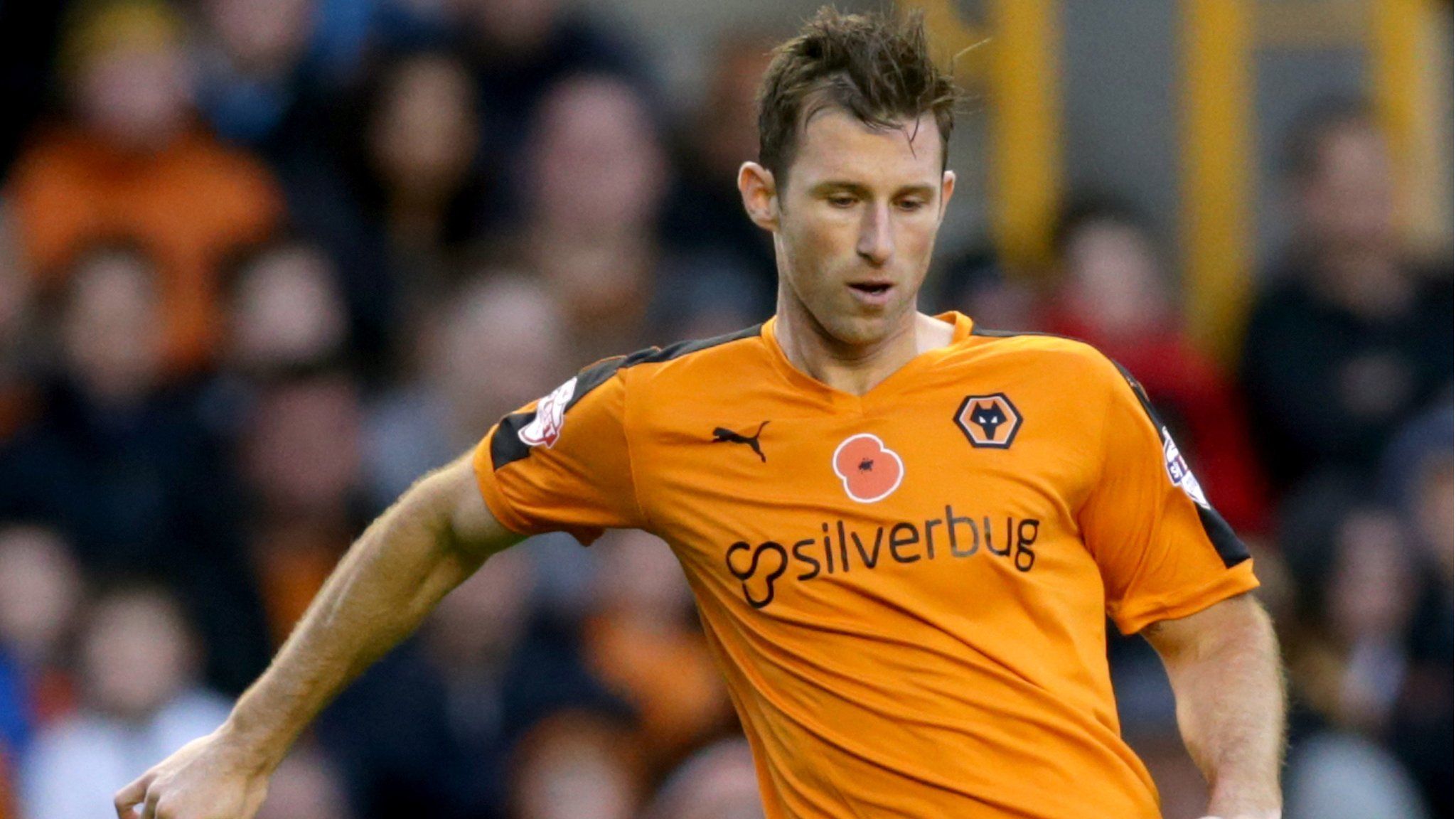 Newcastle recall Mike Williamson from Wolves loan spell - BBC Sport