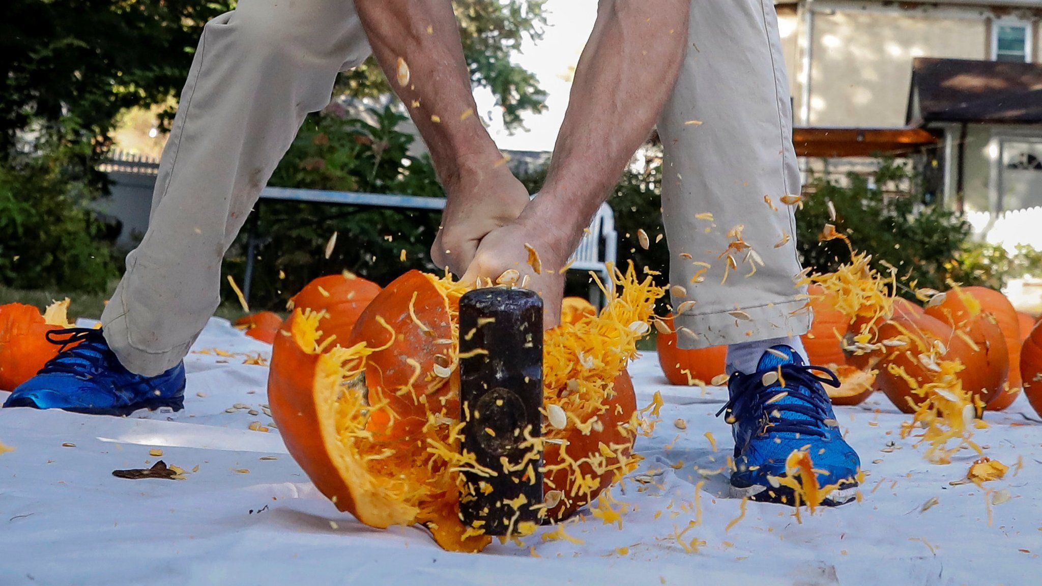 Halloween: What to do with your pumpkin when it's carved - BBC Newsround