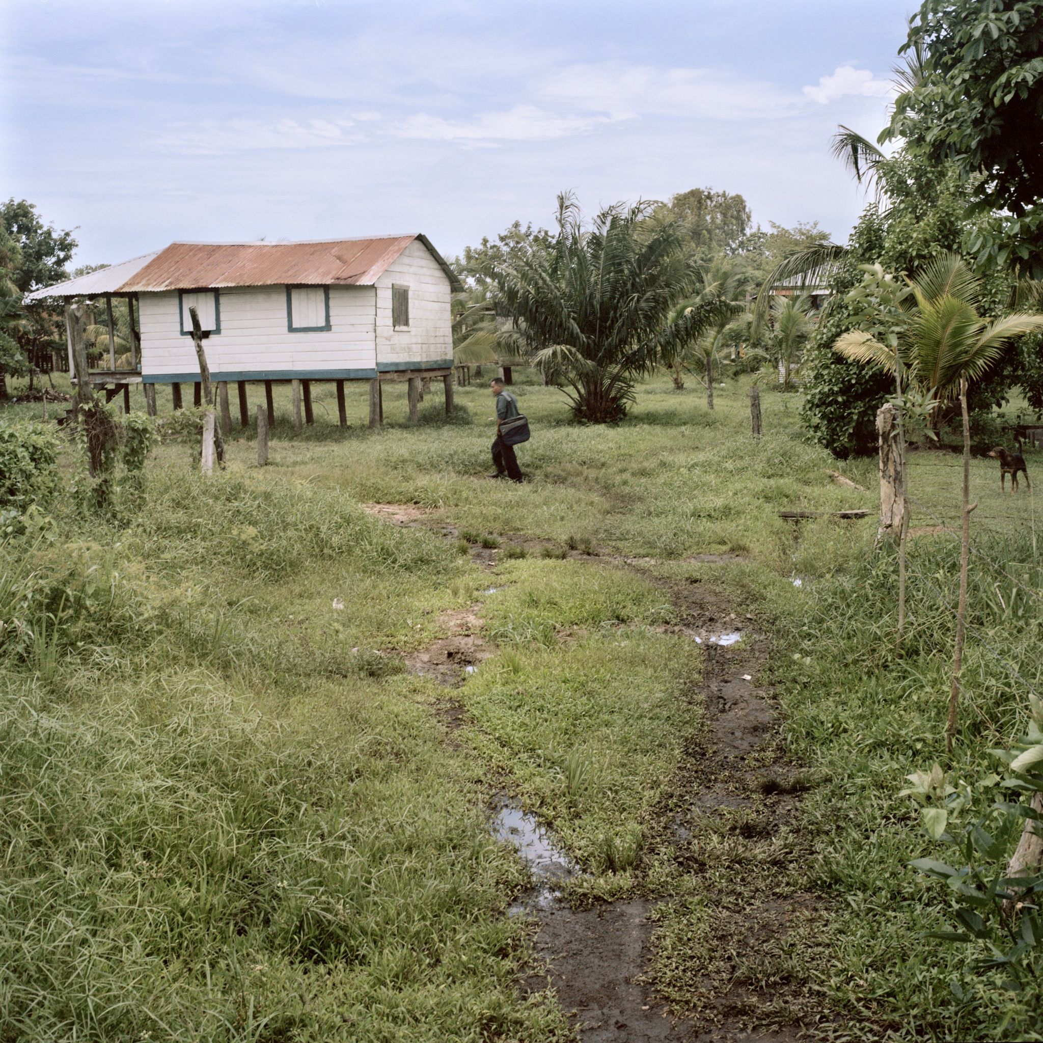 In pictures: Nicaraguan ex-gang members turned plumbers - BBC News