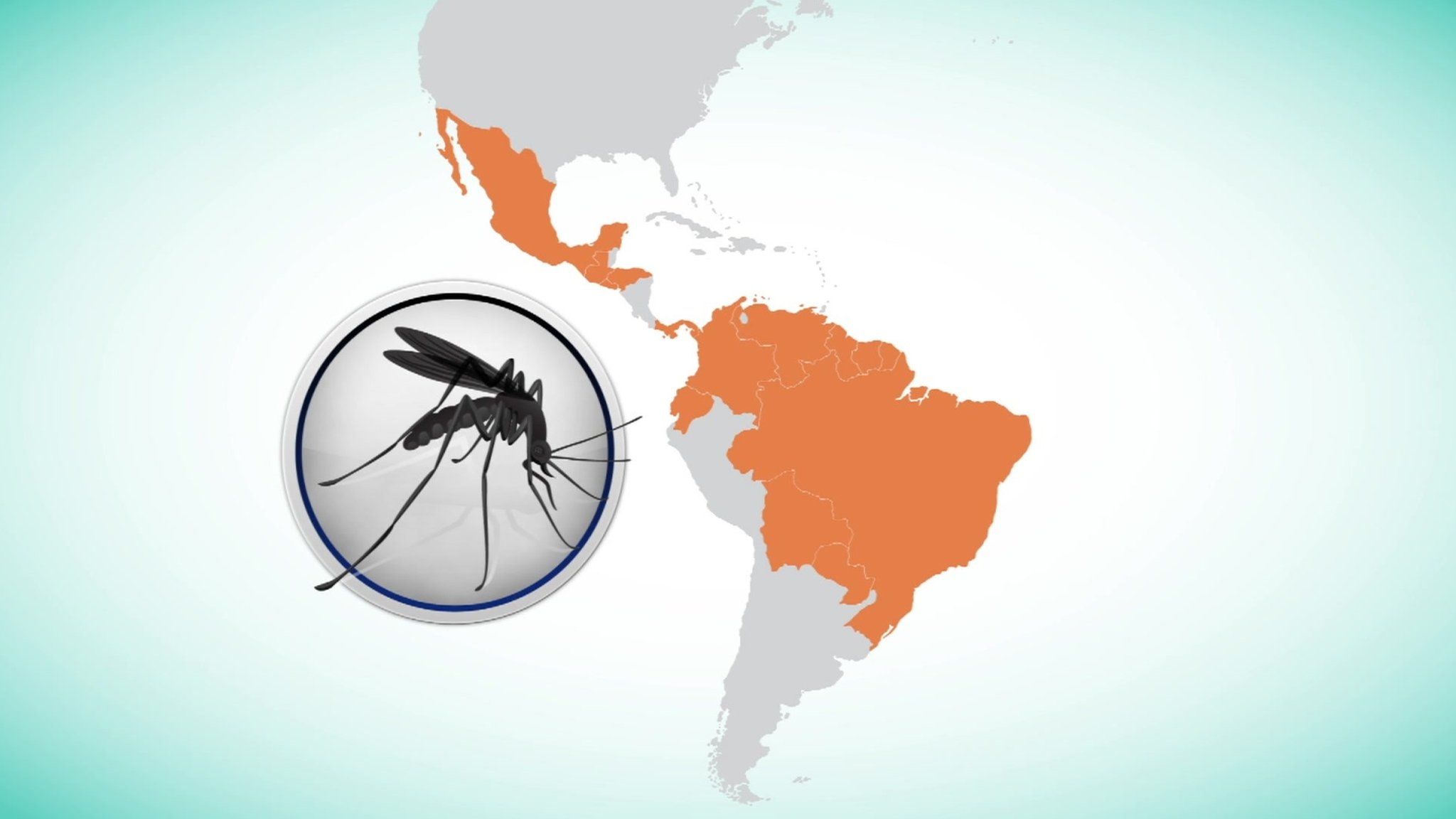 Zika vaccine to be developed by Manchester scientists - BBC News
