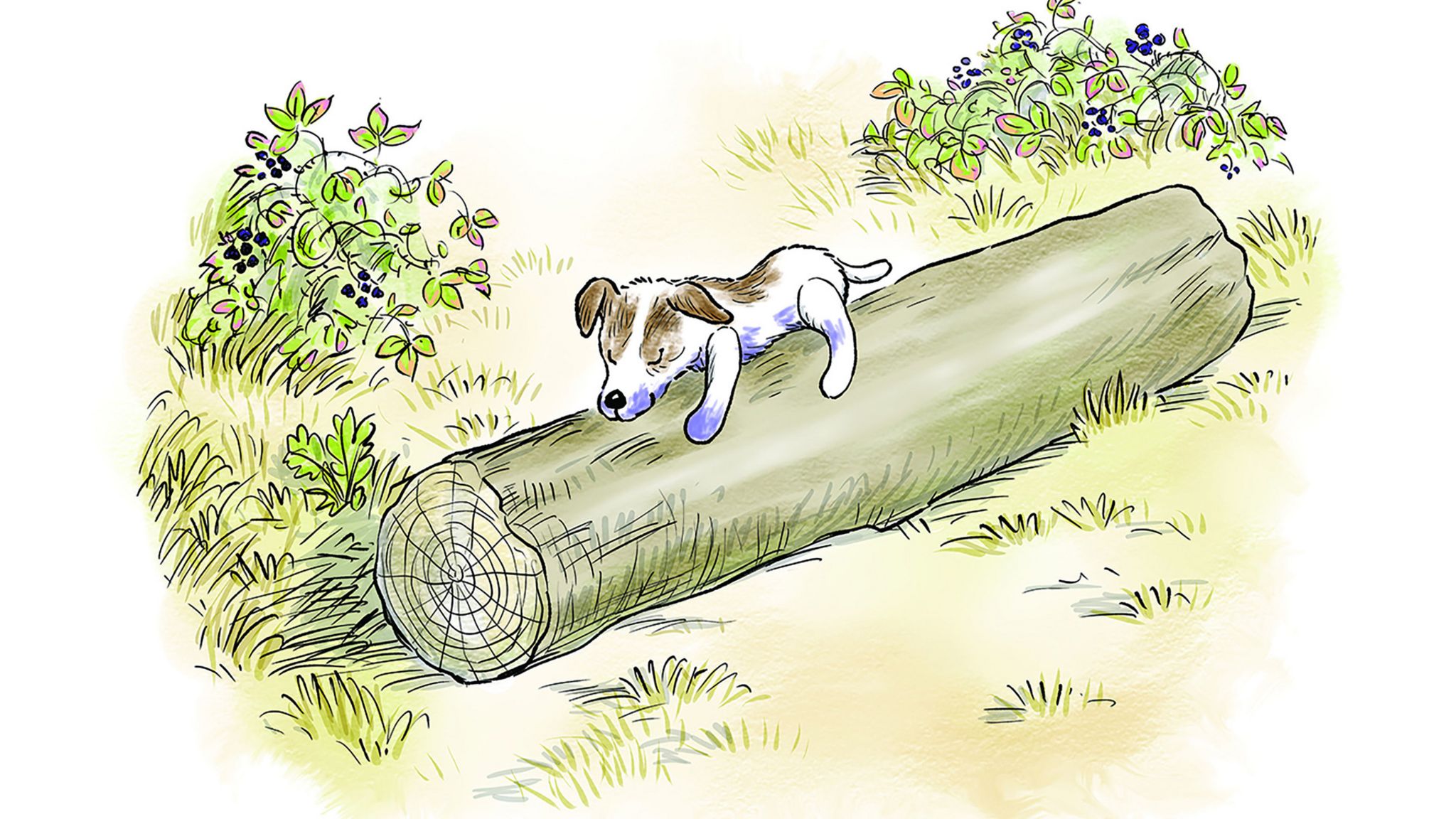 Winnie the Pooh: Meet Carmen, a new dog character - BBC Newsround