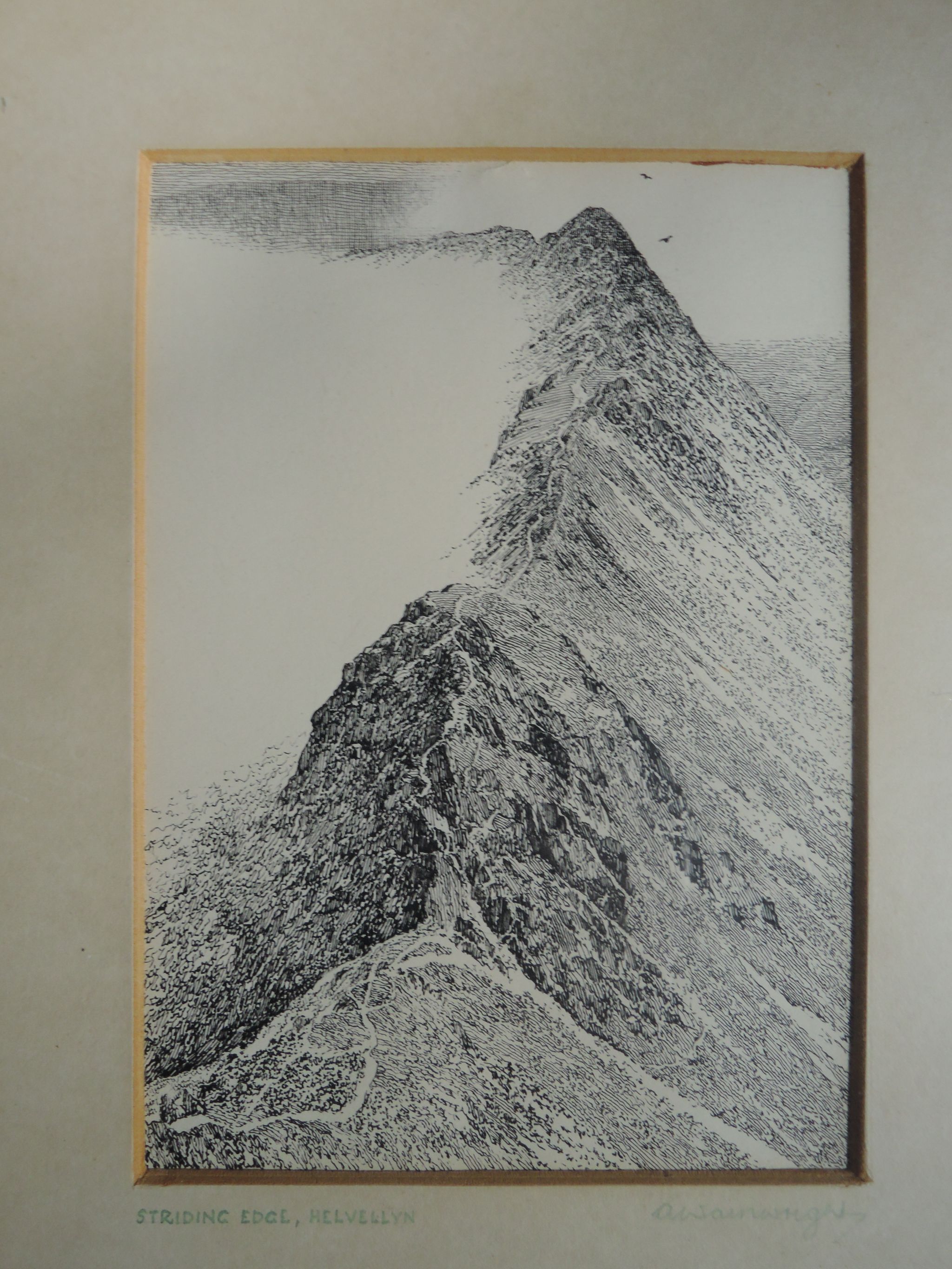 Alfred Wainwright Lake District sketch sells for 'record price' - BBC News