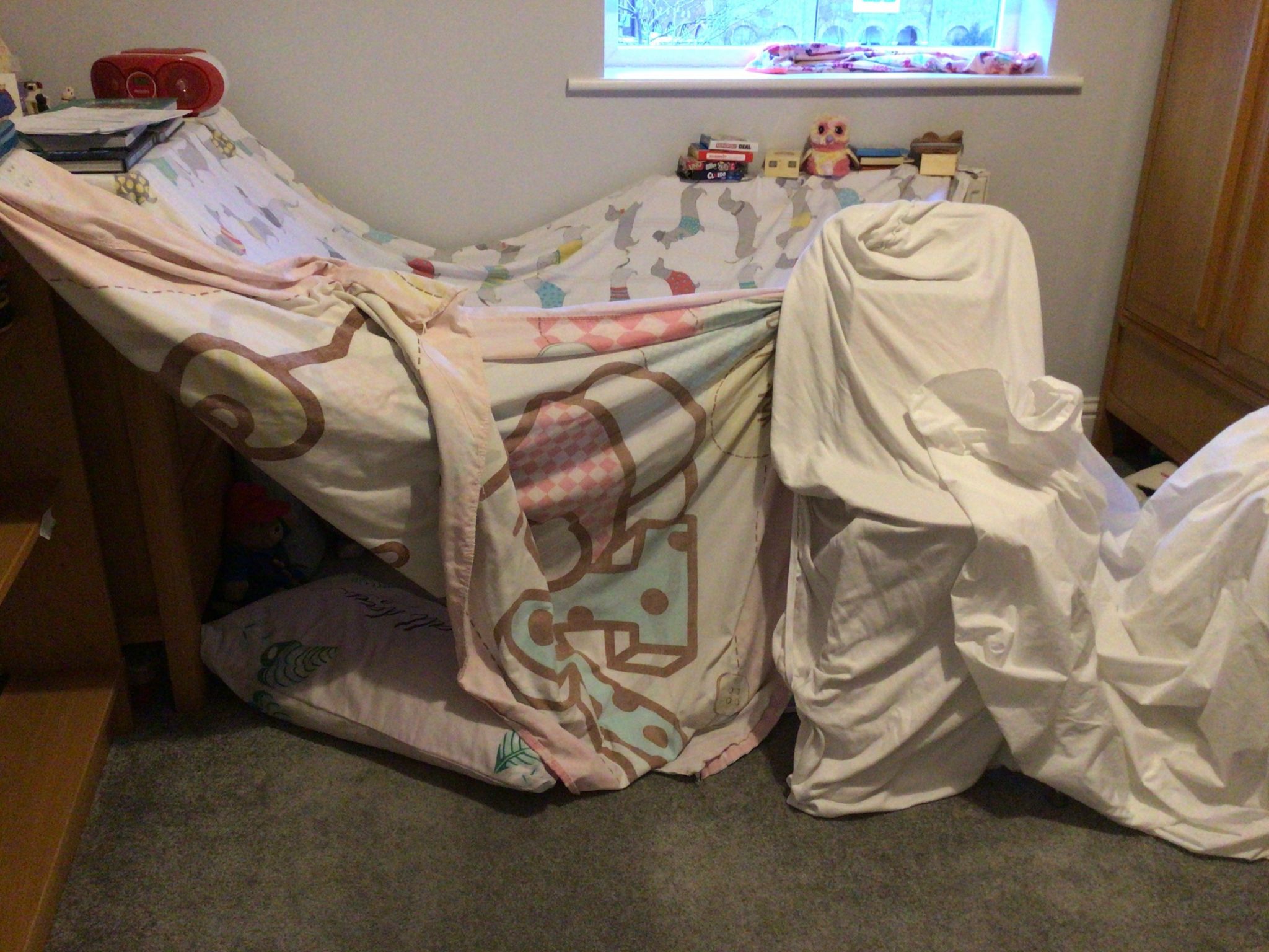 Check out your super creative den pictures! - BBC Newsround