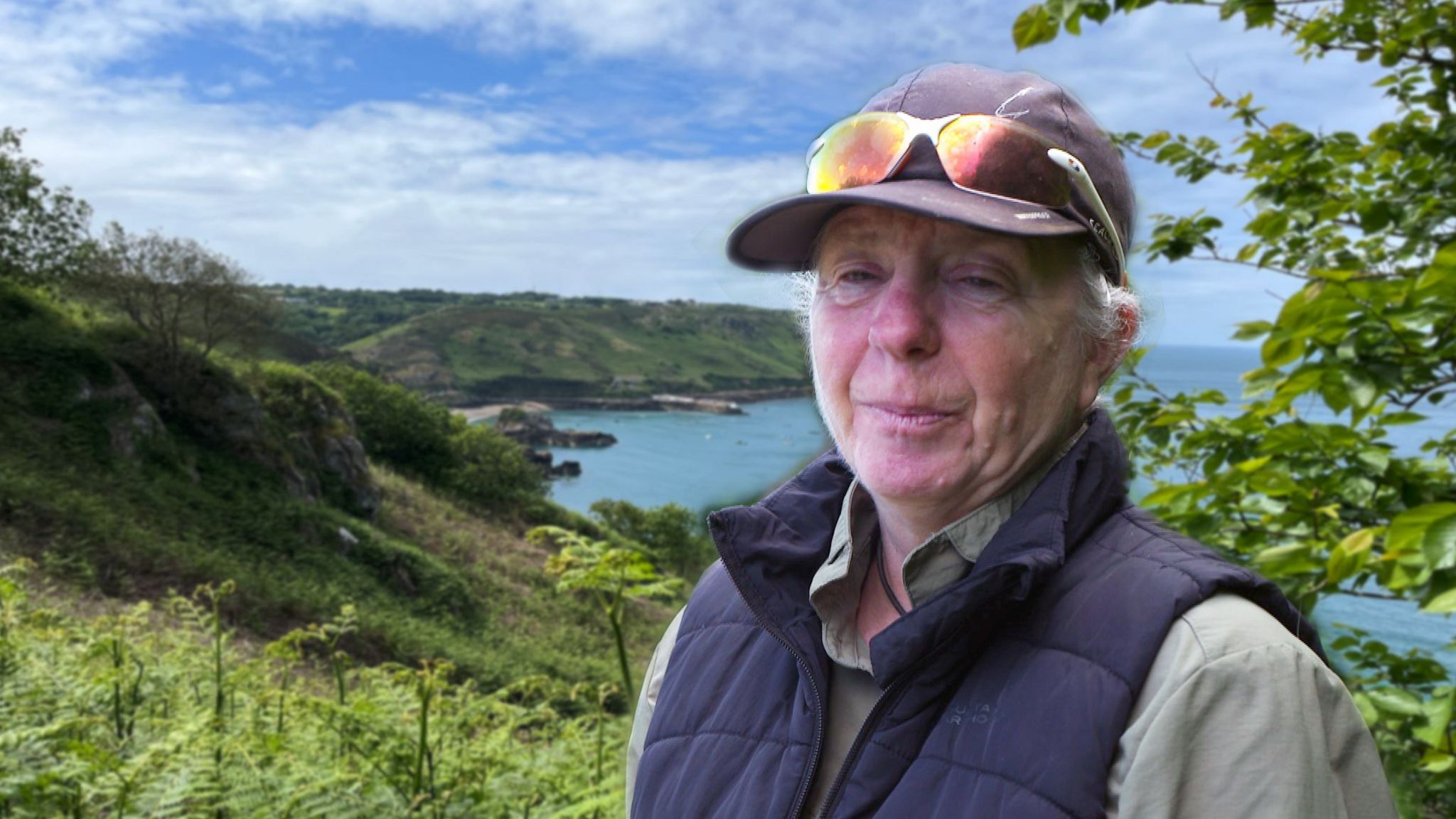Jersey: Dog attack on pet cat prompts fencing for coastal path - BBC News