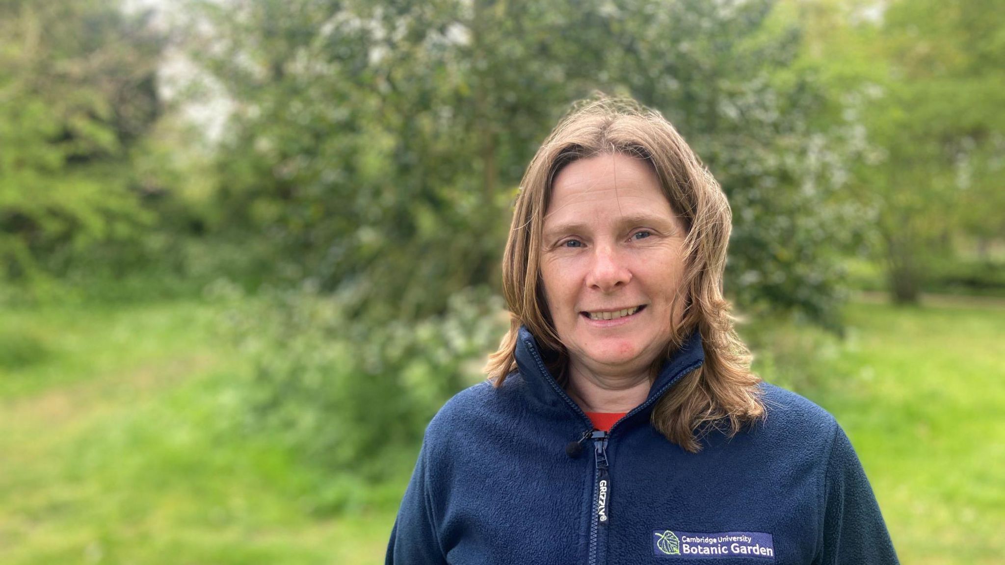 Cambridge botanic garden tracks trees for climate change - BBC News