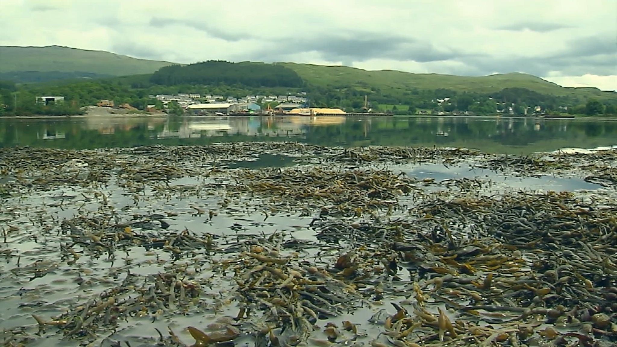 Gerainean mun fhuaim bho mhuileann-sàbhaidh an Loch Abar - Naidheachdan ...