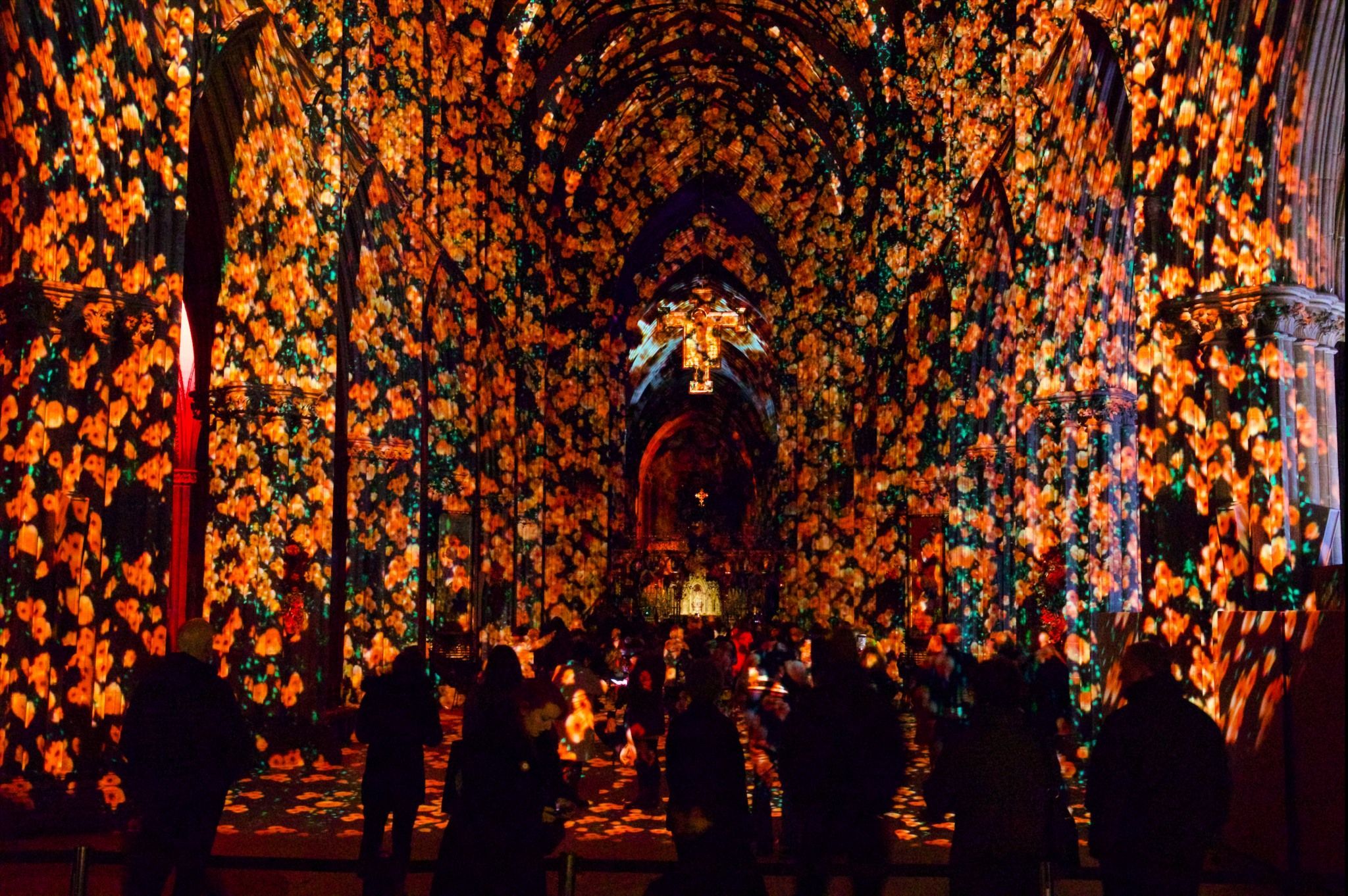 Winchester: Light show to fill cathedral with sea of poppies - BBC News