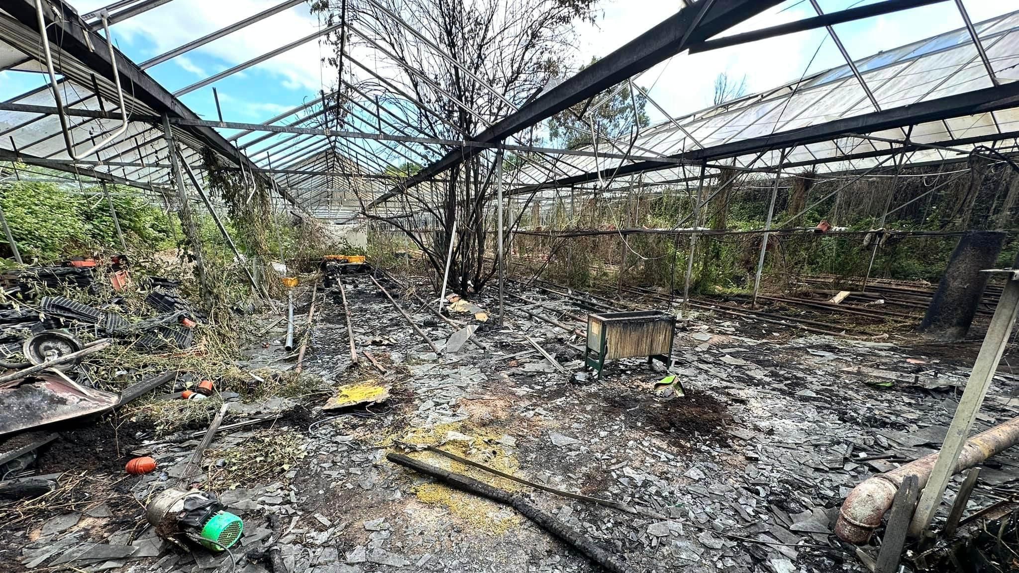 Ottery St Mary: Firefighters tackle greenhouse blaze - BBC News