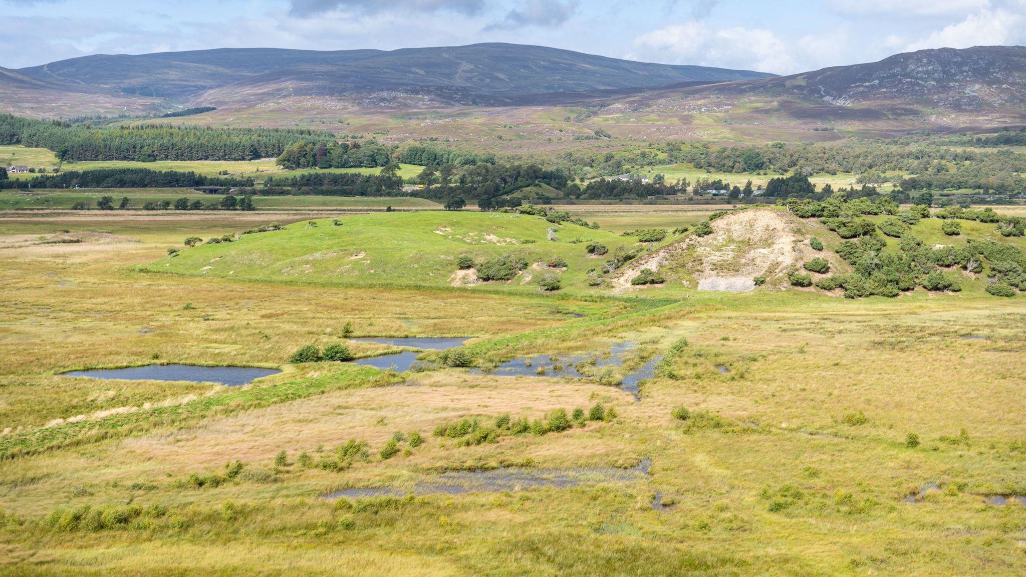 Buaireadh mu bhìobhairean am Bàideanach - Naidheachdan a' BhBC