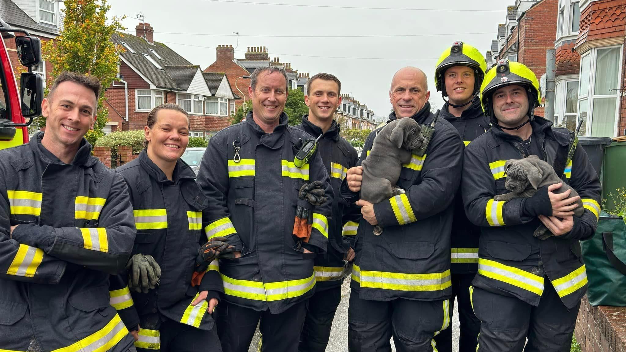 Exeter firefighters save six puppies from flat fire - BBC News
