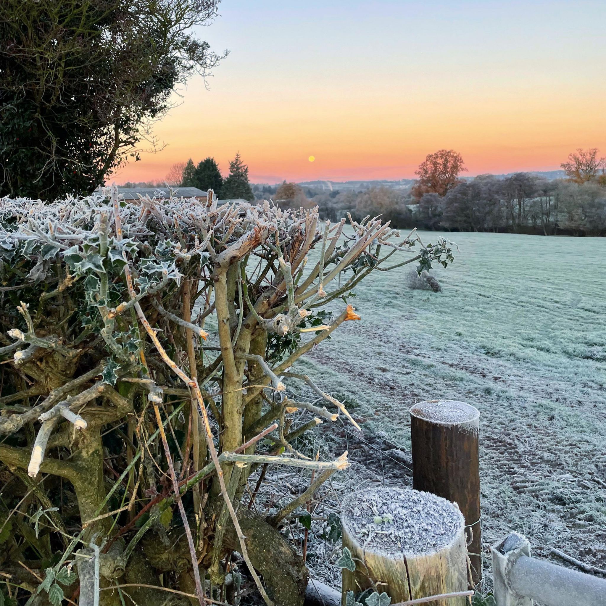 December's Cold Moon captured by West Midlands photographers - BBC News