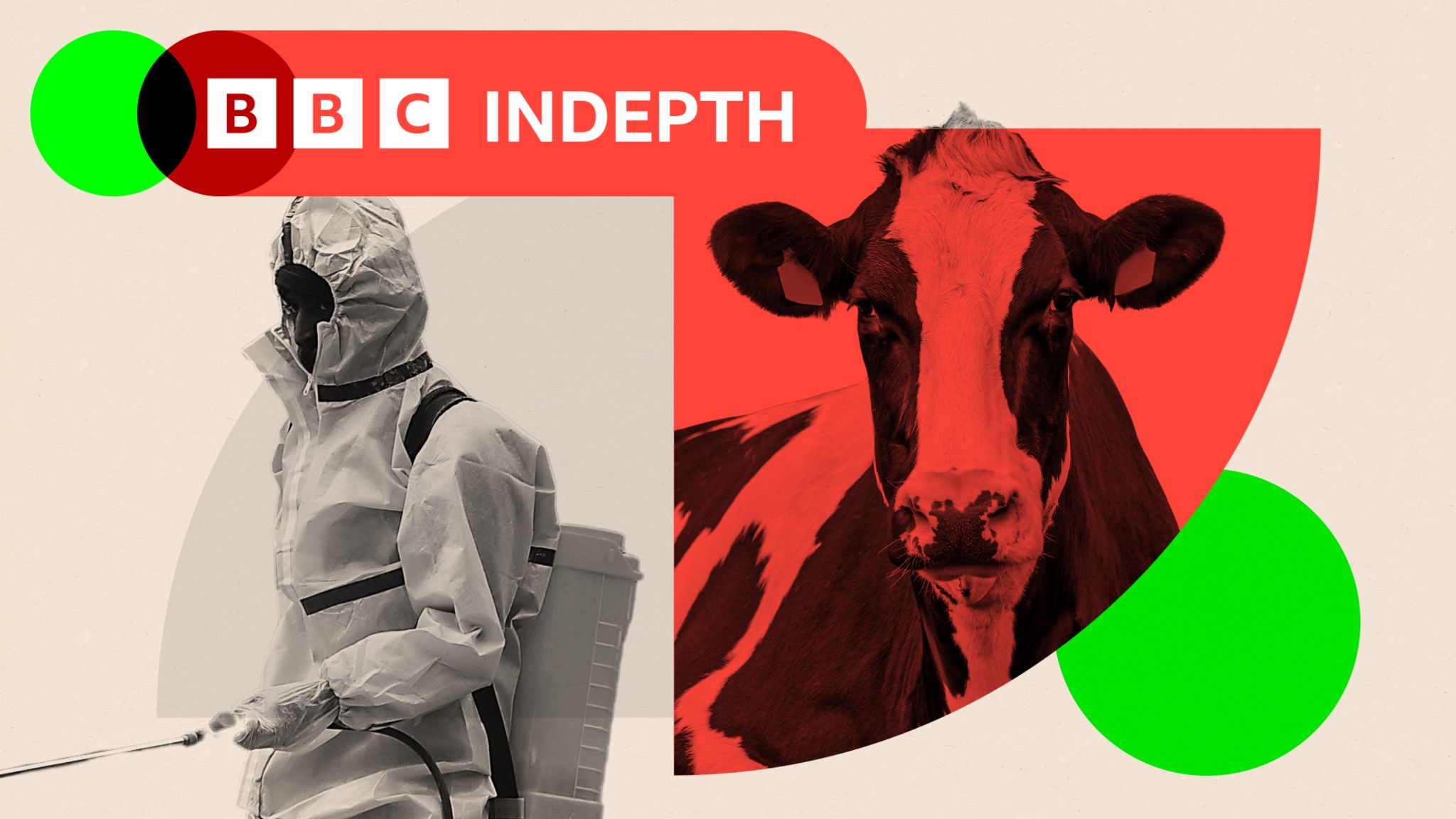 Man in Mexico dies with first human case of H5N2 bird flu - BBC News