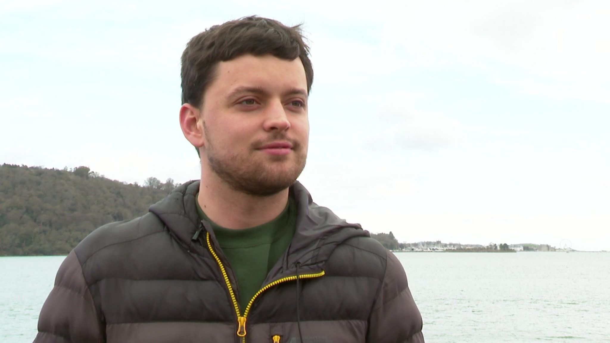 Pryder fod gwylanod môr yn mynd yn brin - BBC Cymru Fyw