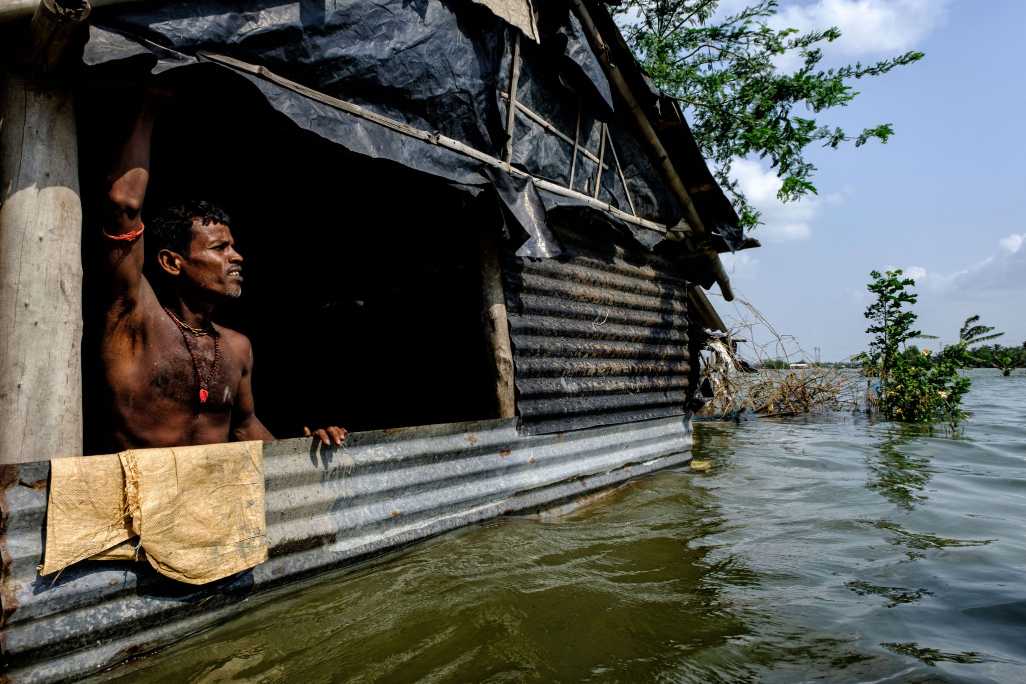 Mangrove Photography Awards: Portrait of storm victim wins prize - BBC News