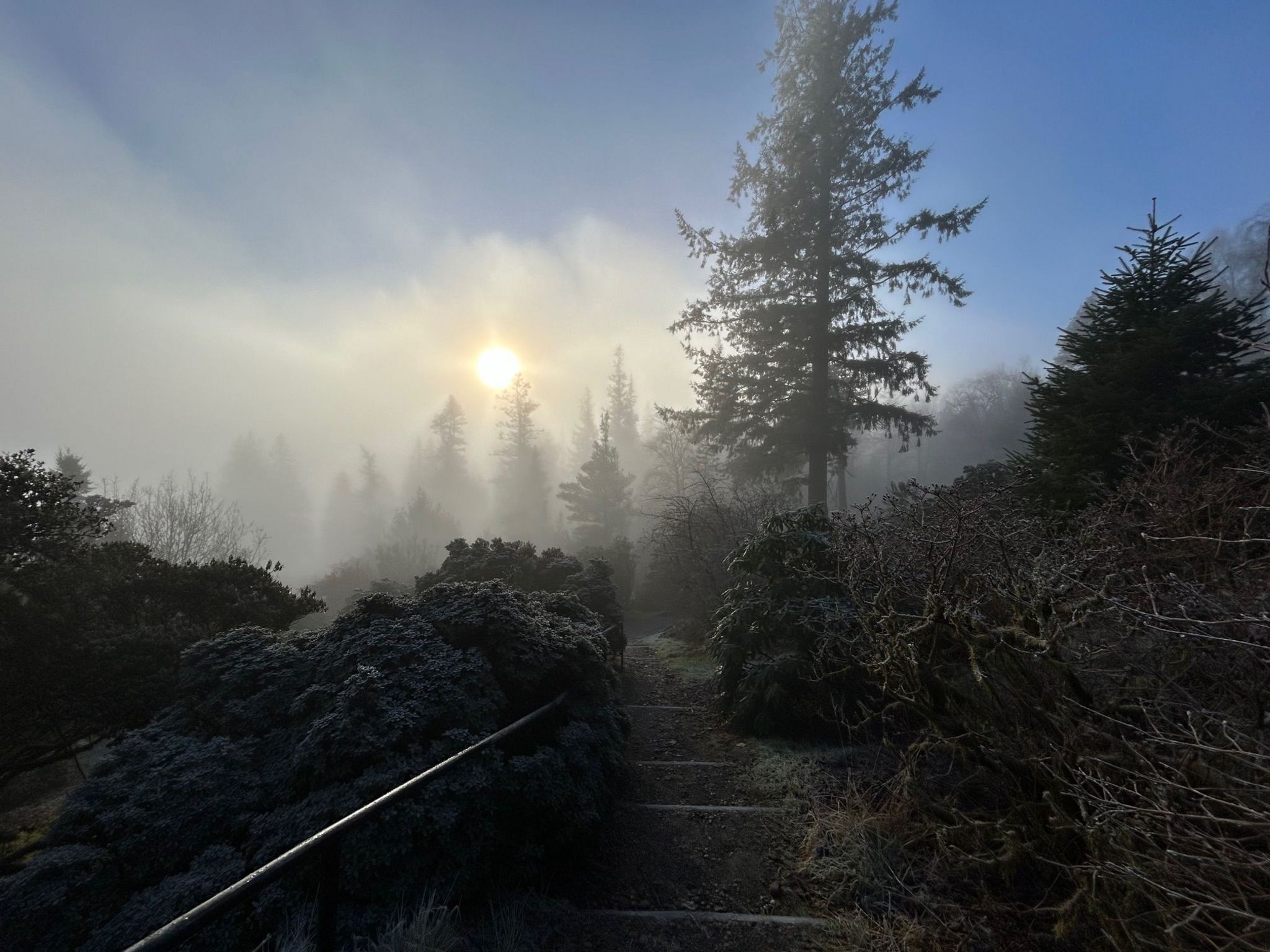 Your pictures of Scotland: Photographs from around the country - BBC News