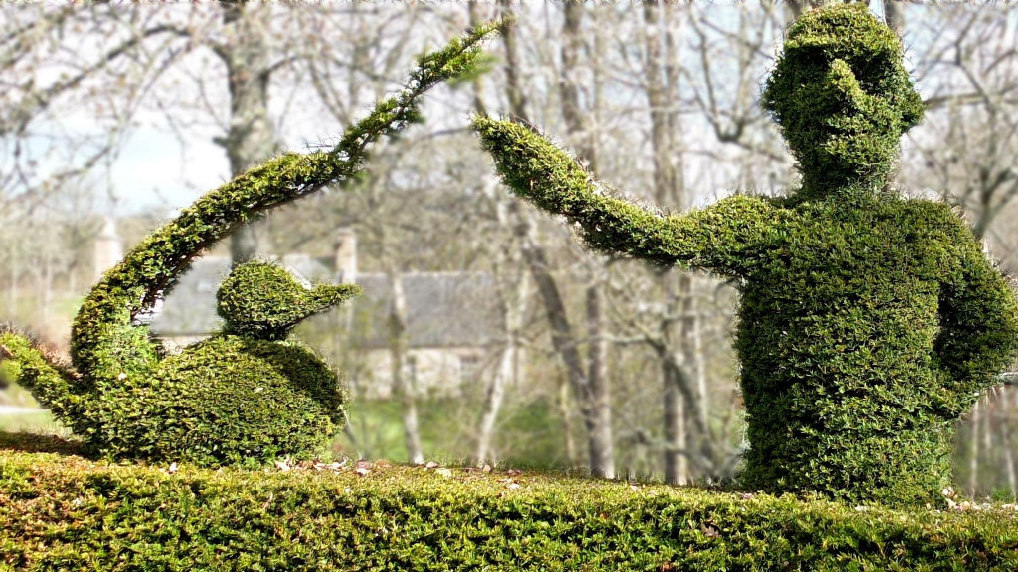 Scots gardener wins award for Moby Dick inspired hedge - BBC News
