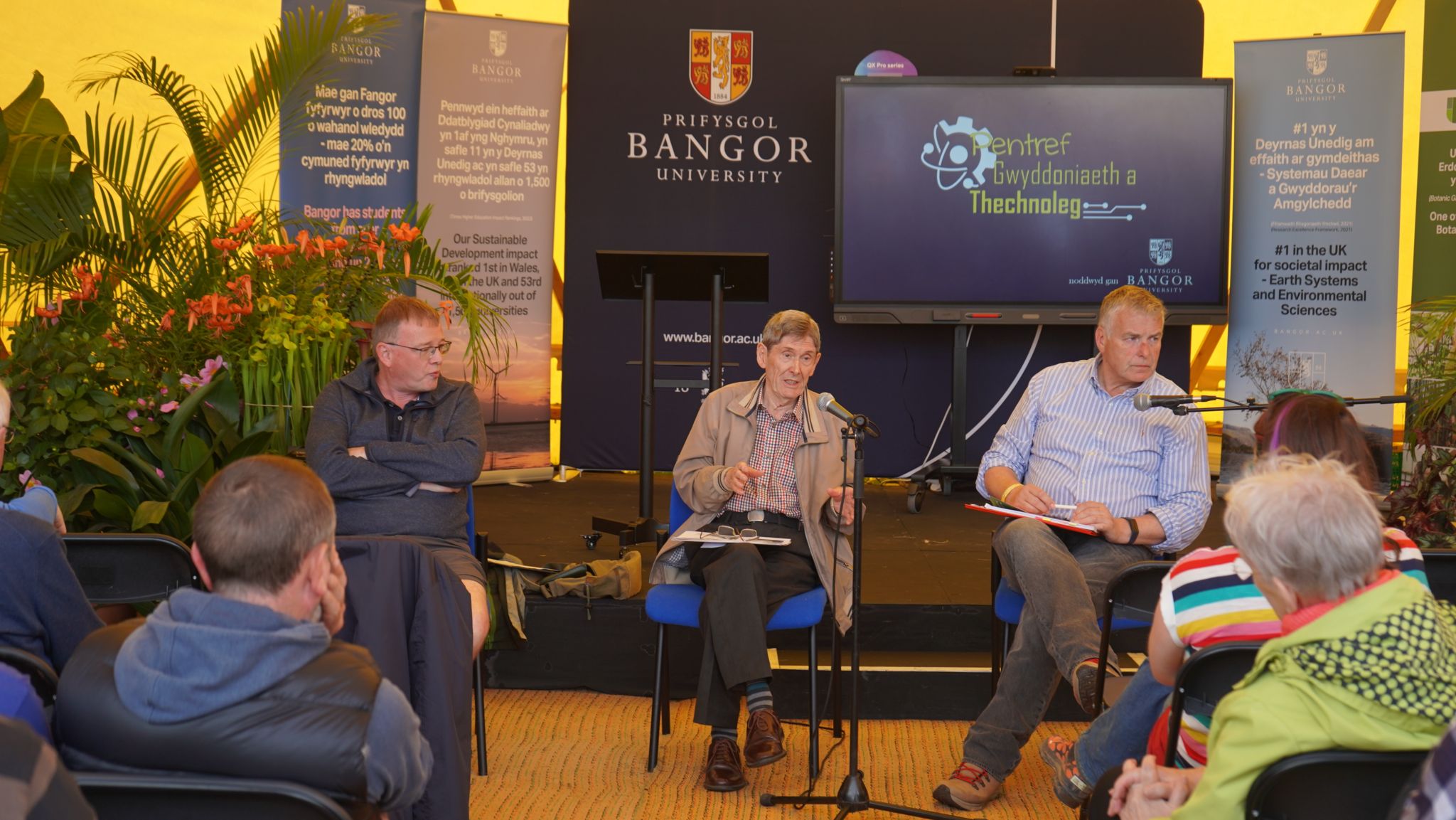 Lluniau Dydd Sul: Eisteddfod Llŷn ac Eifionydd - BBC Cymru Fyw