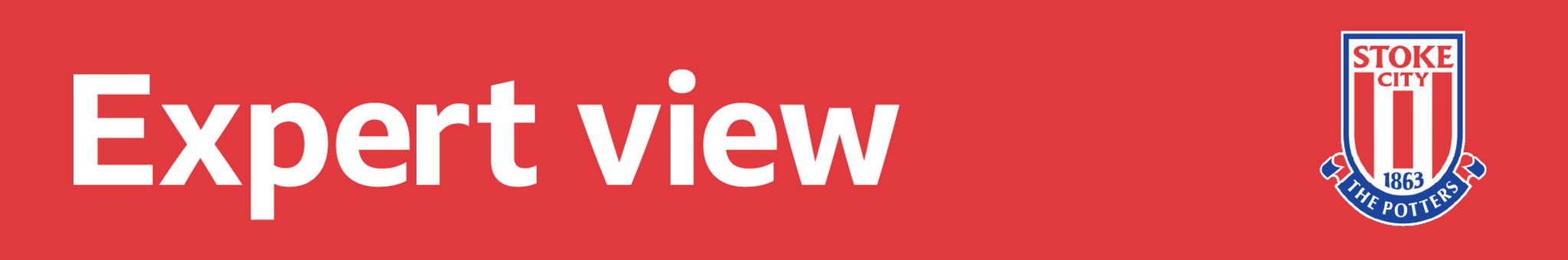 Stoke City: Gabriel Sutton on players who could be targeted - BBC Sport