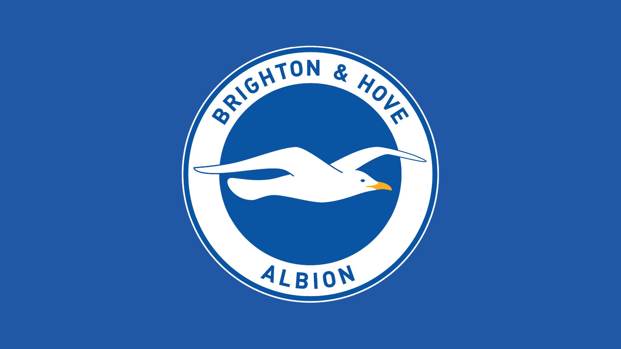 Welcome to a Q&A on Brighton - BBC Sport