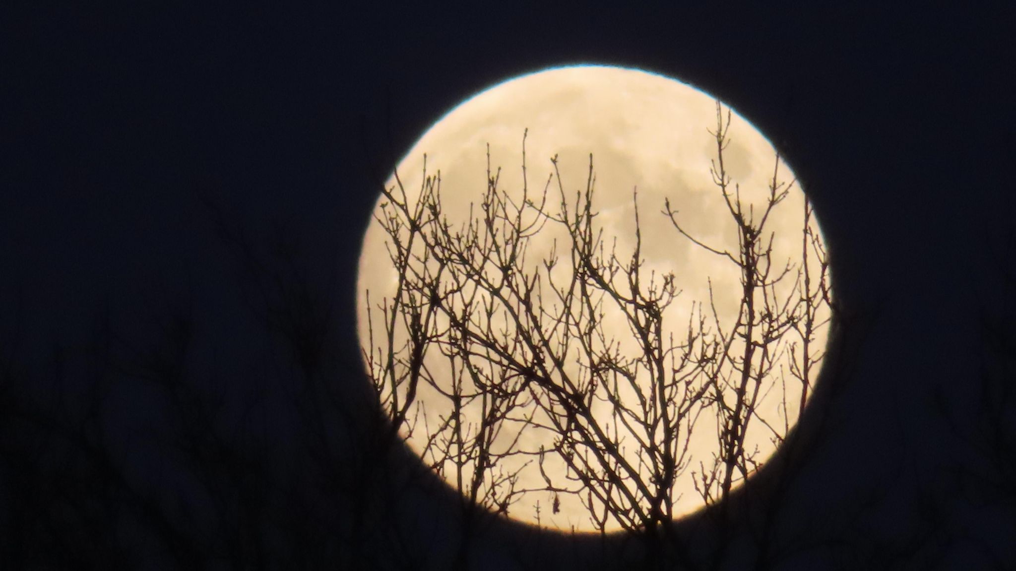 December's Cold Moon captured by West Midlands photographers - BBC News