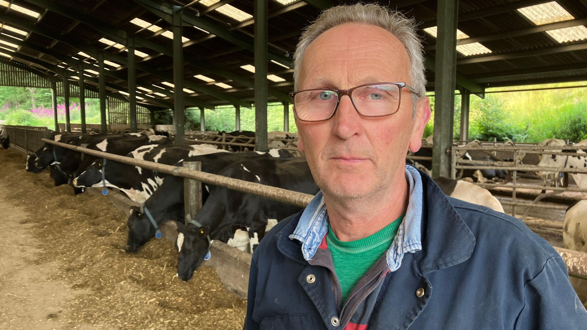 Ffermwr £71,000 ar ei golled wedi i Hufenfa Mona fynd i'r wal - BBC ...