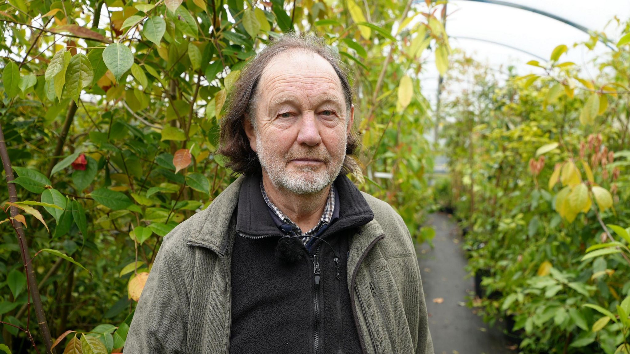 Gardd o Gymru yw'r 'fwyaf bioamrywiol' yn sioe Chelsea - BBC Cymru Fyw