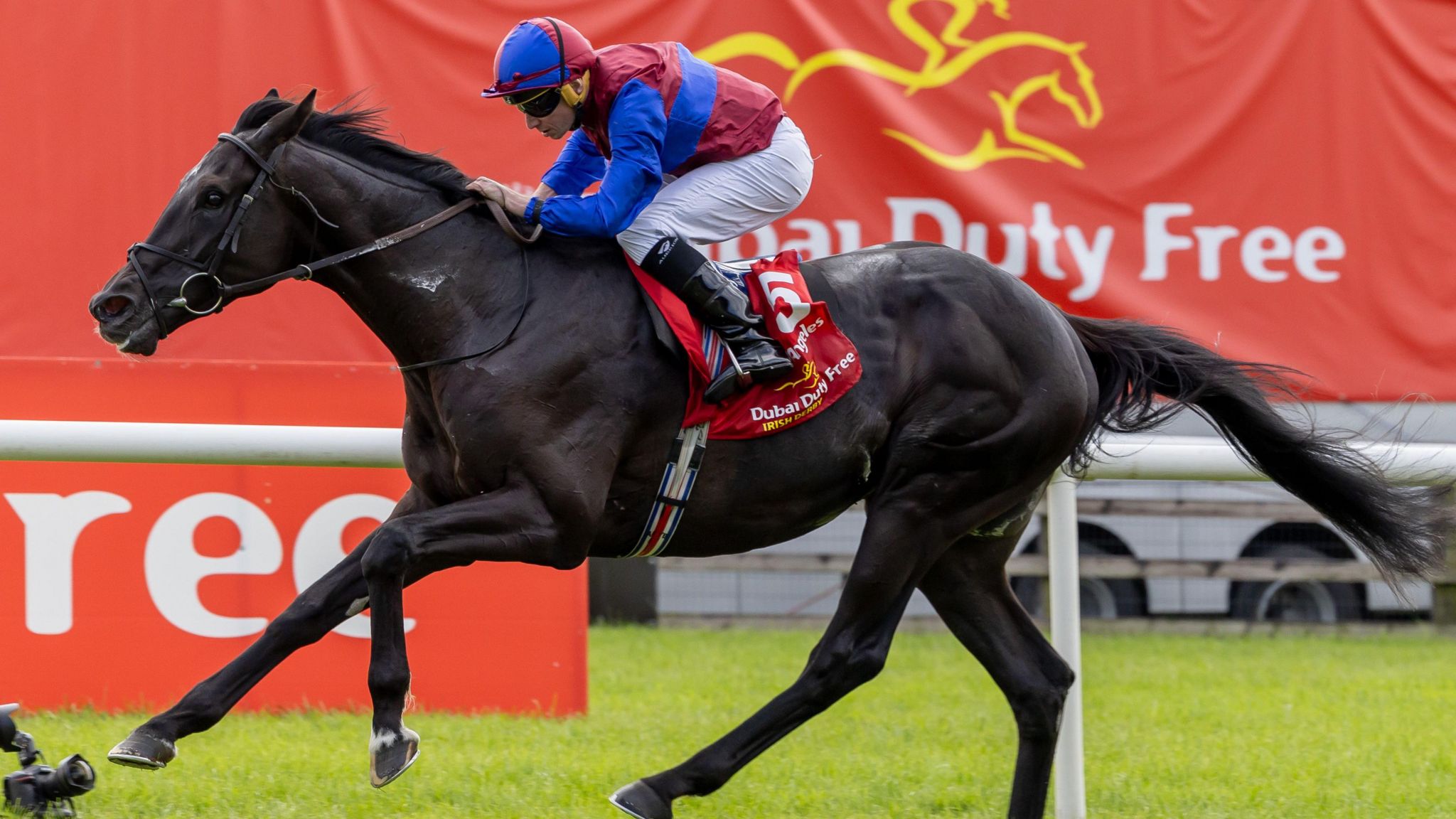 Irish Derby: Los Angeles wins in thrilling race at the Curragh - BBC Sport