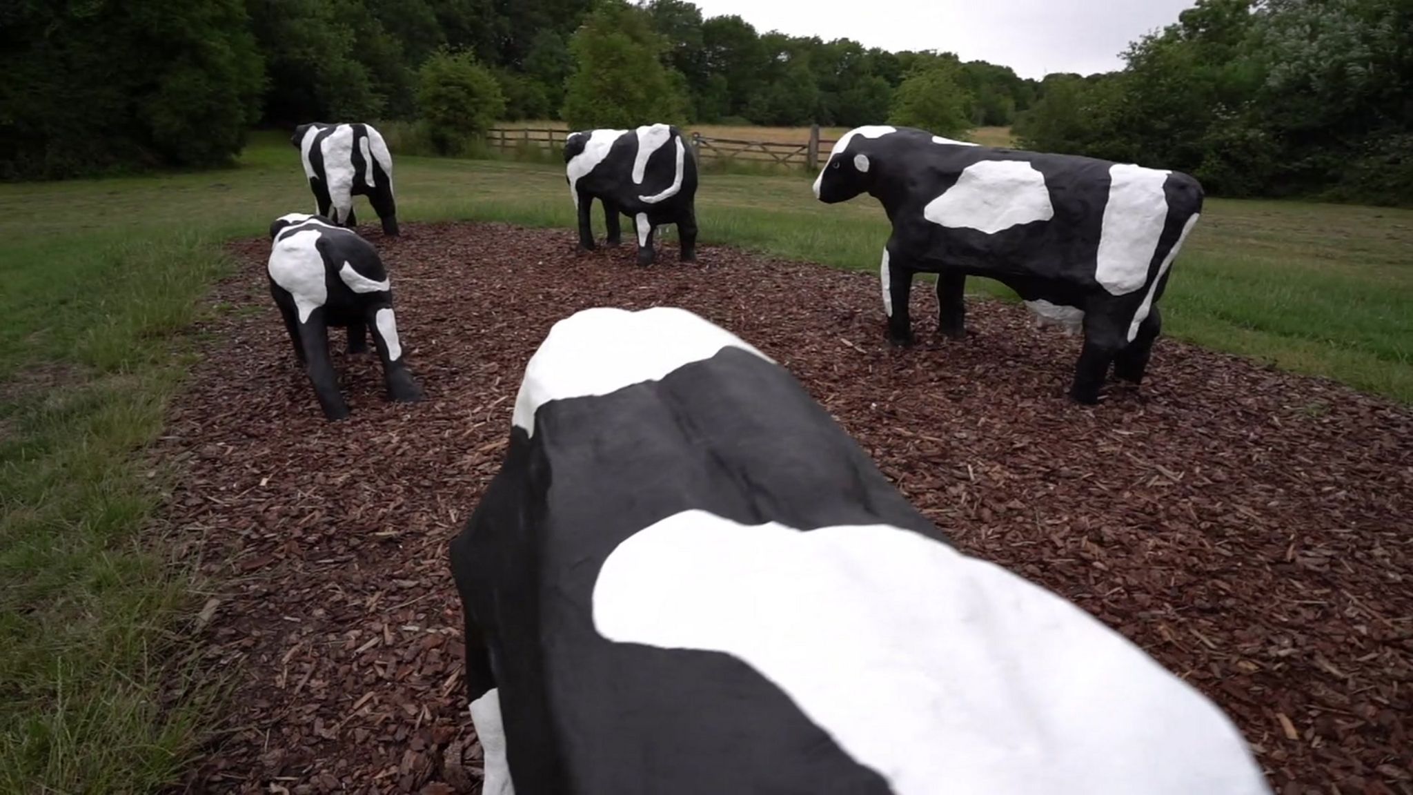 Milton Keynes concrete cows repainted - BBC News