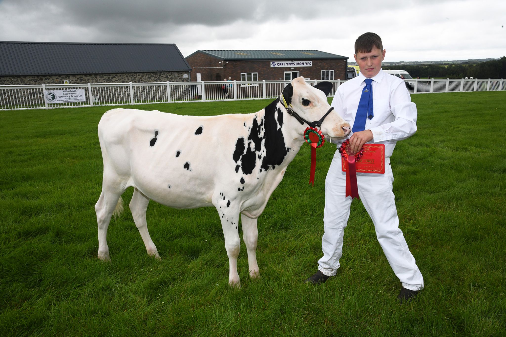 Lluniau: Dydd Mawrth yn Sioe Môn - BBC Cymru Fyw