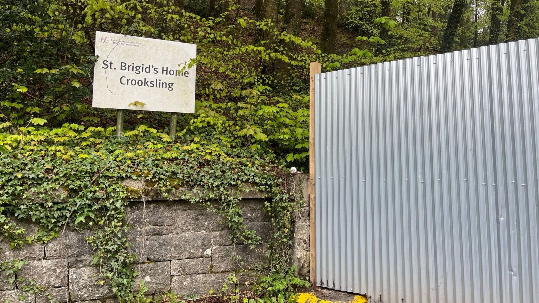 Dublin asylum seekers say new tented accommodation flooded - BBC News