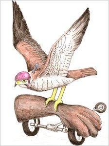 Barnsley team attempt to build kestrel flying machine - BBC News