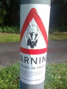 Badger cull warning posters appear in Gloucestershire - BBC News