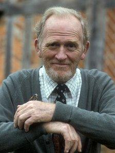 Barbie gull: Pink birds and Scotland - BBC News