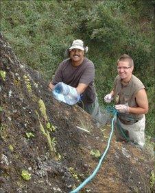 Experts rediscover plant presumed extinct for 60 years - BBC News