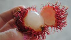 Frutas de América Latina, fiesta de sabor y color - BBC News Mundo