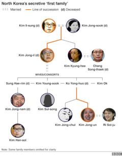 Death in a dynasty: What led to the demise of Kim Jong-nam? - BBC News