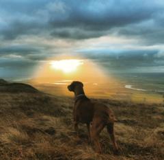 Your pictures of Scotland: 28 December - 4 January - BBC News