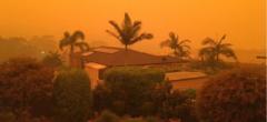 Australia fires: Thousands flee to beach to escape - BBC News