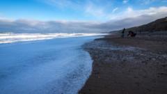 Climate change: Sudden heat increase in seas around UK and Ireland ...