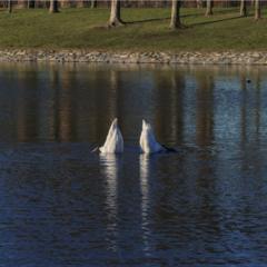 England's Big Picture: 23 - 29 January - BBC News