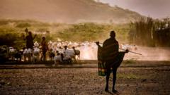 Africa's top shots: 4 -10 October - BBC News