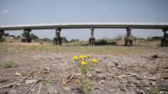 Climate change: 2021 will be cooler but still in top six warmest - BBC News