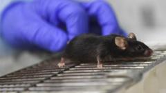Coronavirus: cómo la tecnología ARNm puede abrir las puertas a una ...